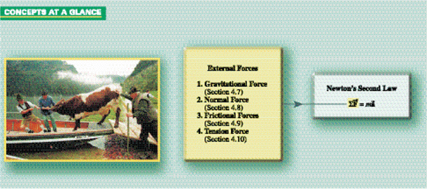 Types of Forces: an Overview